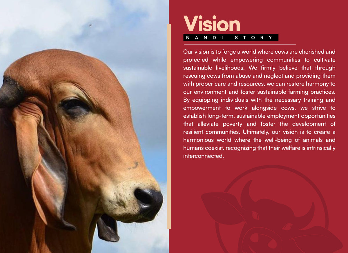 Nandi Story – Nandi Panchgavya Private Limited