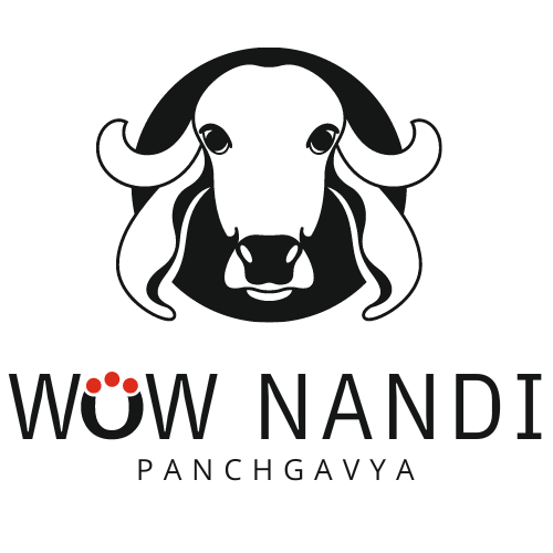 WoW Nandi: Pure Panchgavya Products for Natural & Sustainable Wellness ...
