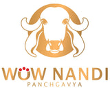 Step-by-Step Guide to Creating Stunning Rangoli Designs – Nandi ...